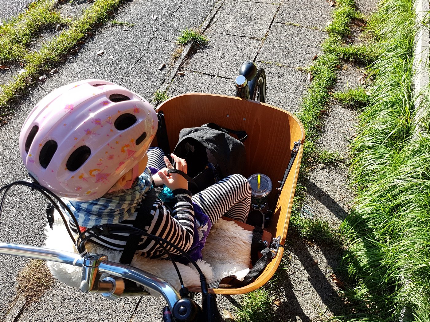 Das Lastenrad Babboe Mini-E im Test - Daddylicious
